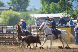 Potter Valley Rodeo – Have a Buckin’ Good Time